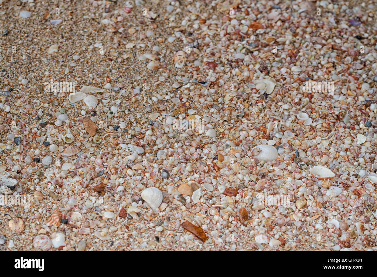 Beach surface for background and texture Stock Photo - Alamy