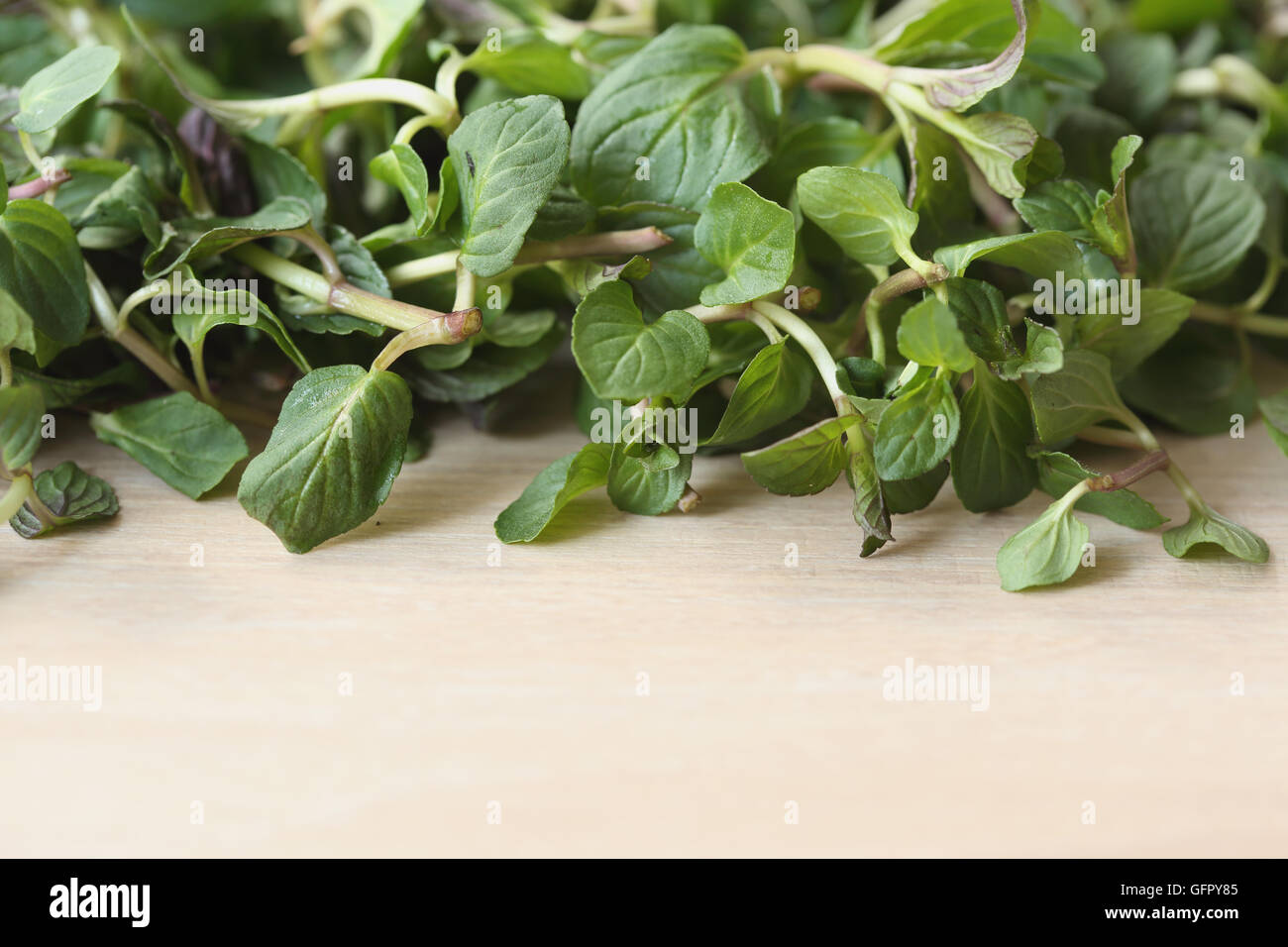 Mint grass hi-res stock photography and images - Alamy