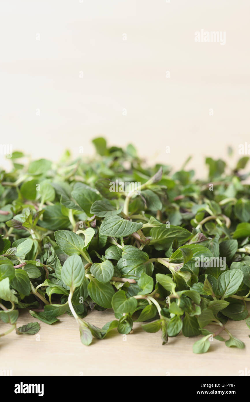 Mint grass hi-res stock photography and images - Alamy