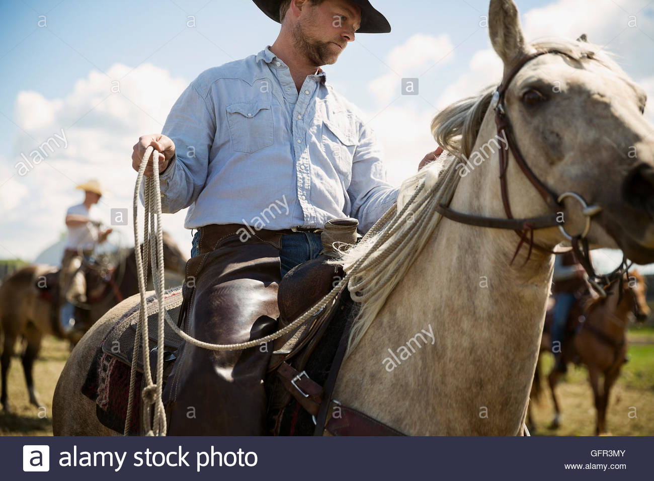 Cowboy lasso cattle hi-res stock photography and images - Alamy