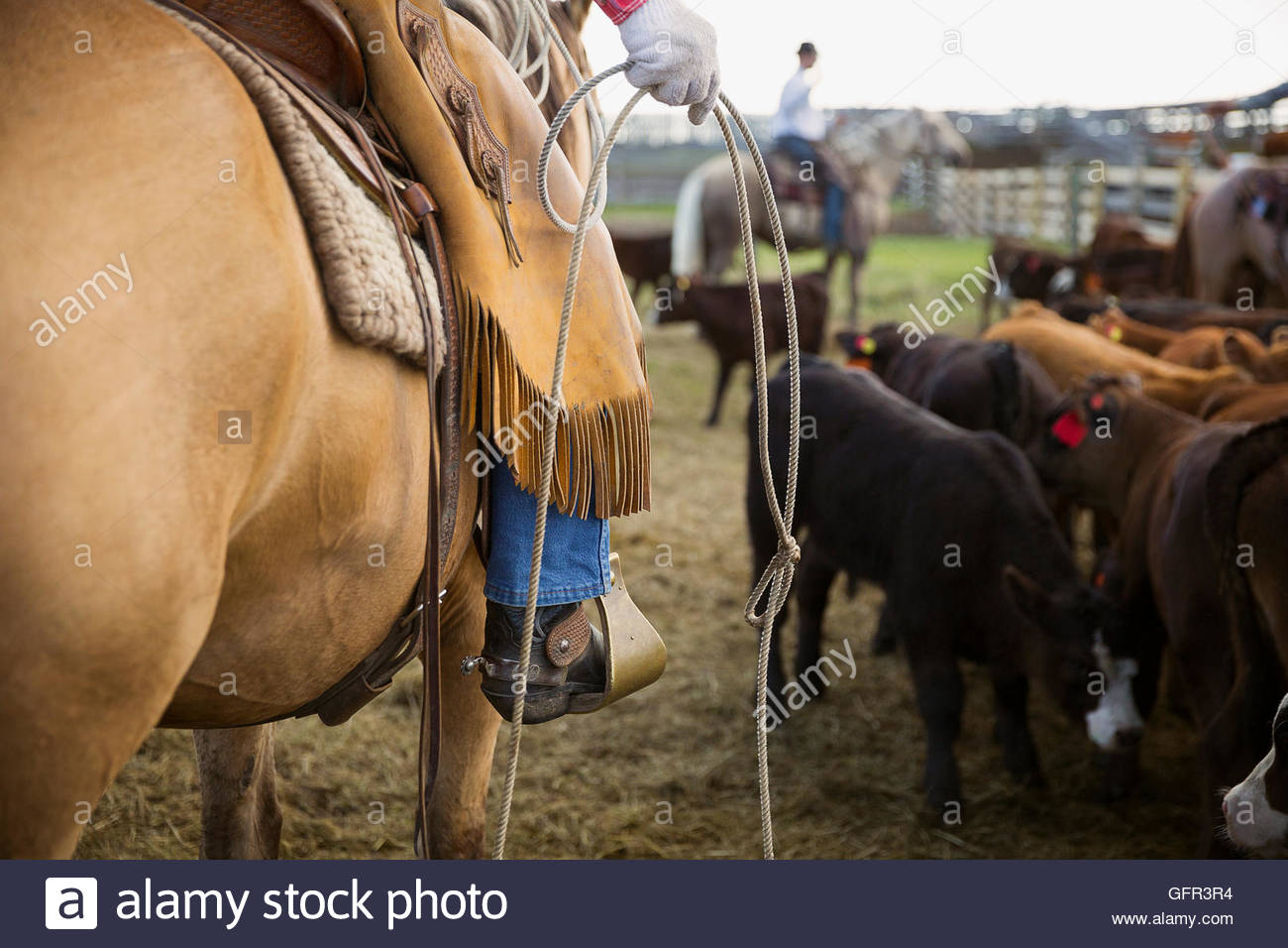 Cowboy on horse close hi-res stock photography and images - Alamy
