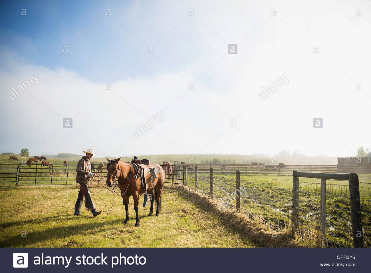 Cattle ranch horse hi-res stock photography and images - Alamy