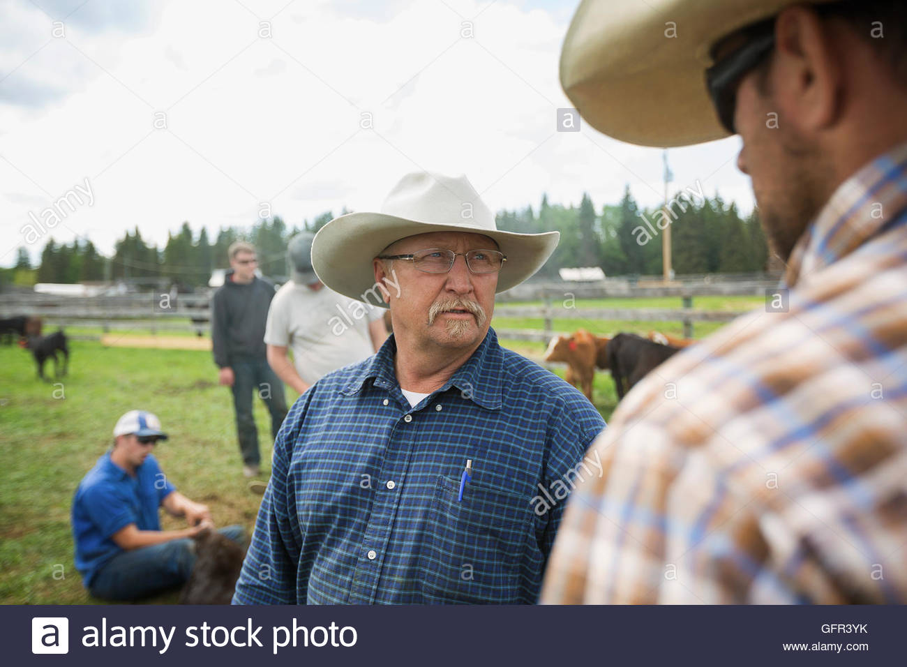Cattle ranchers talking Stock Photo - Alamy