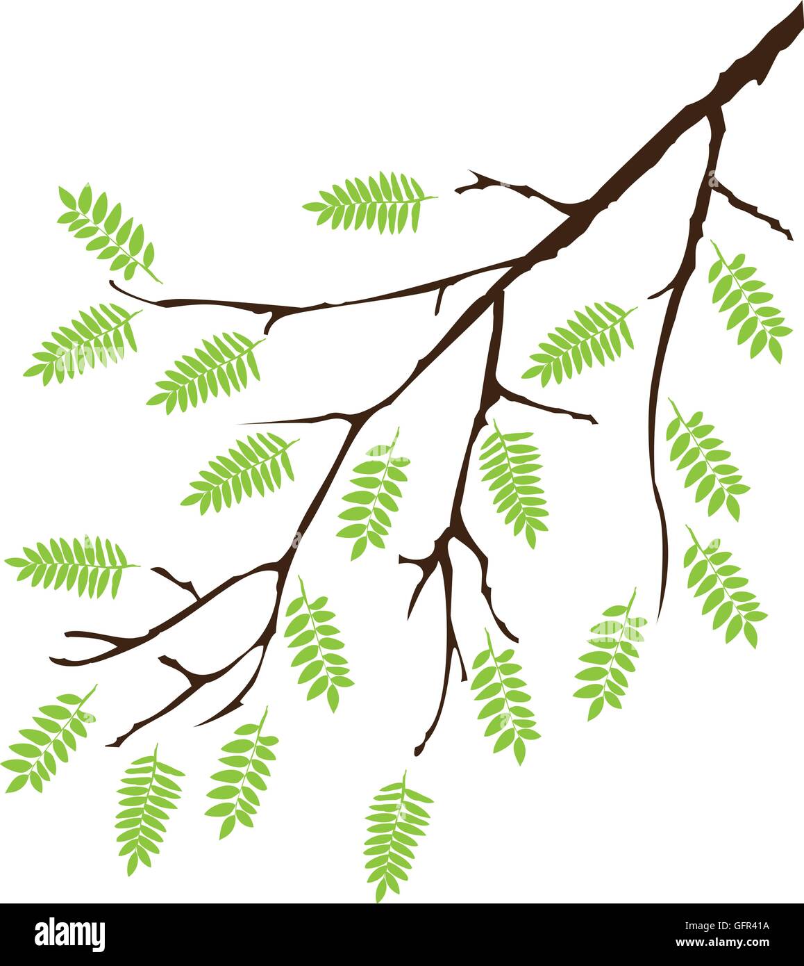vector illustration of a tree branch with green leaves Stock Vector ...