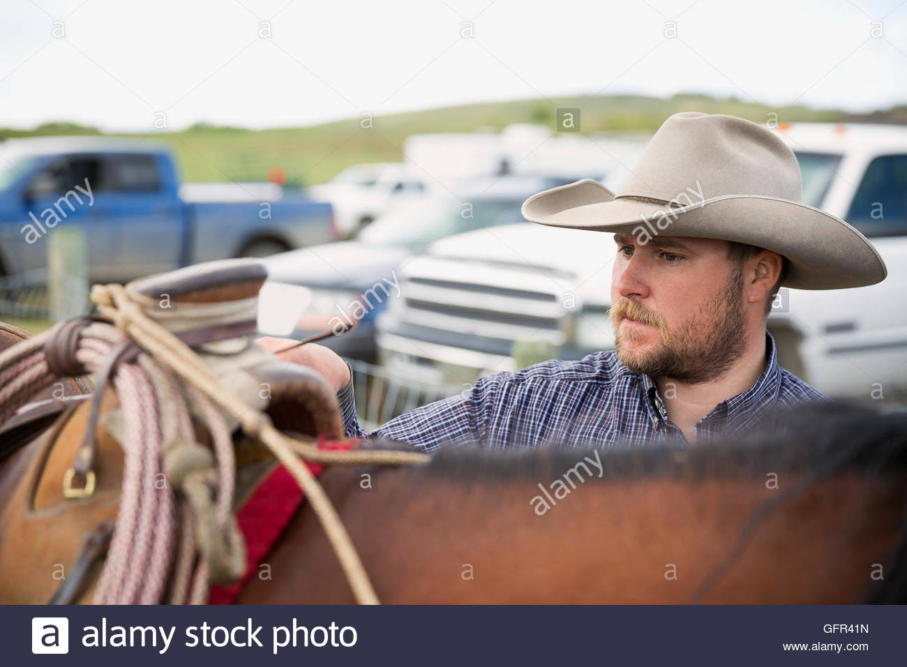 Horse man cattle hi-res stock photography and images - Alamy