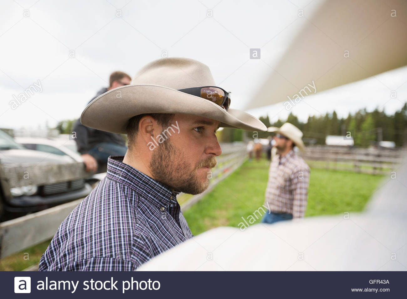 Cattle hat hi-res stock photography and images - Alamy