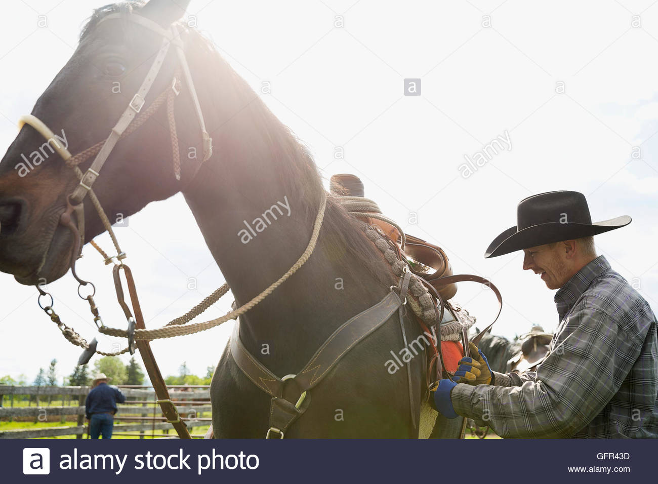 Ranch saddle hi-res stock photography and images - Alamy