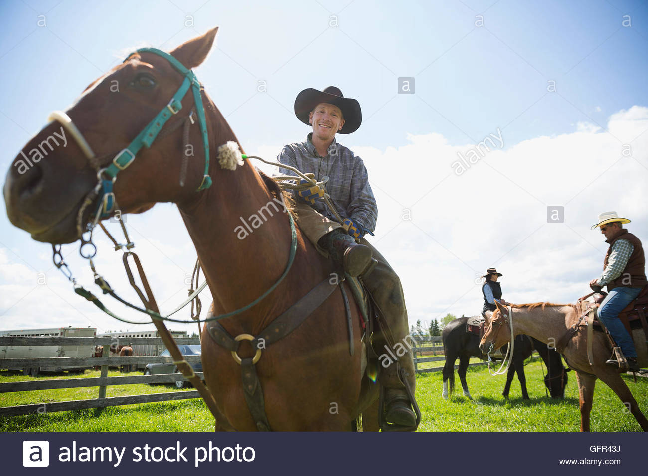 Horse looking into camera lens hi-res stock photography and images - Alamy