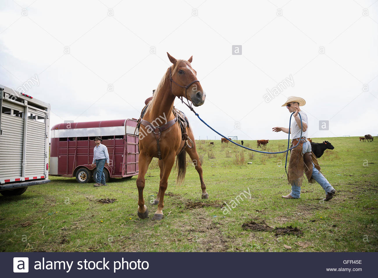 Cattle rancher with horse Stock Photo - Alamy