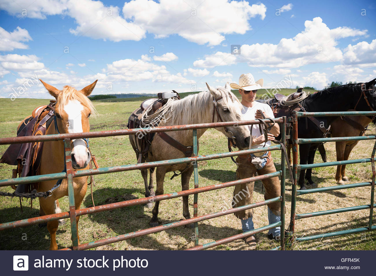 Horse farm gate hi-res stock photography and images - Alamy