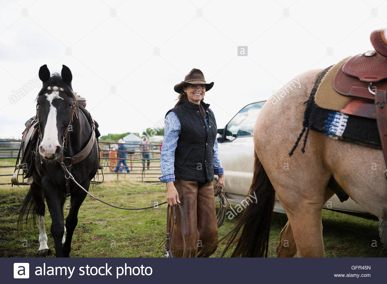 Female horses hi-res stock photography and images - Alamy