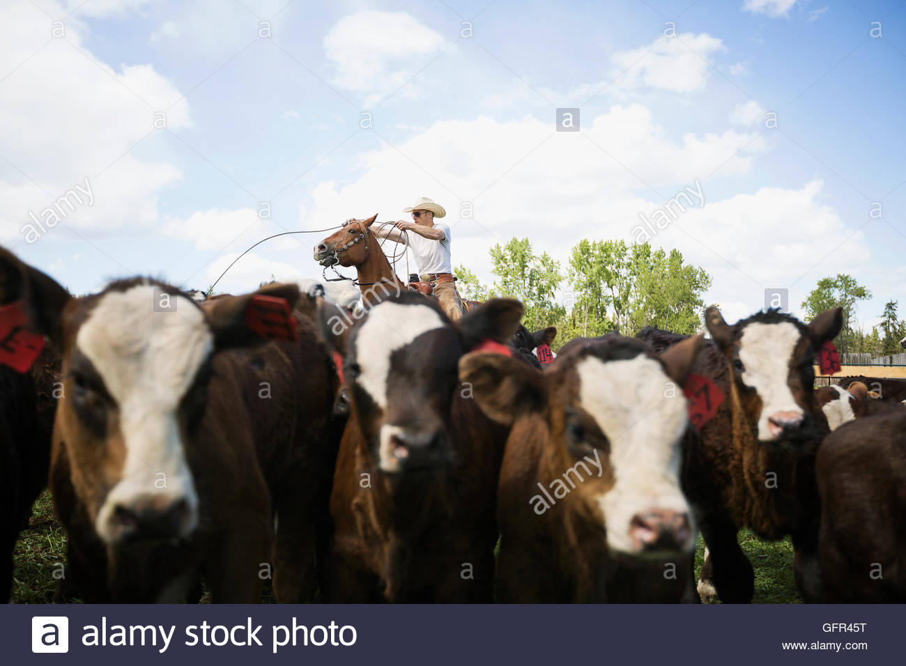 Rounding a bend or corner hi-res stock photography and images - Alamy