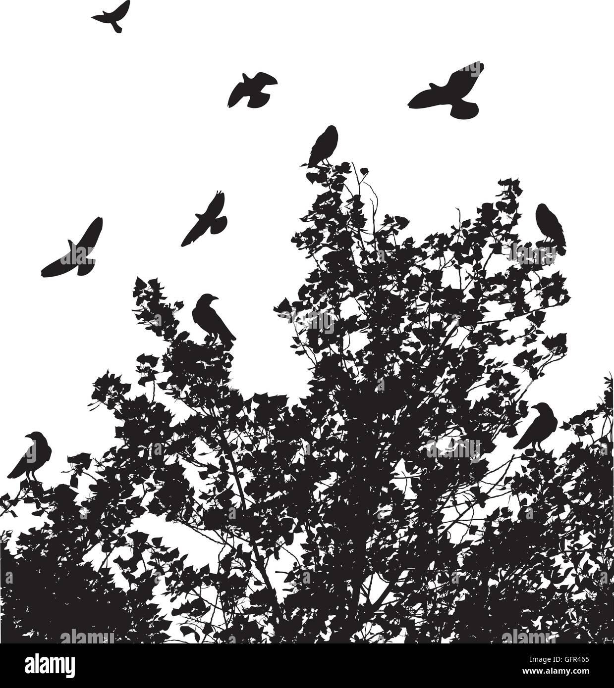 vector illustration of a tree background with birds Stock Vector Image ...