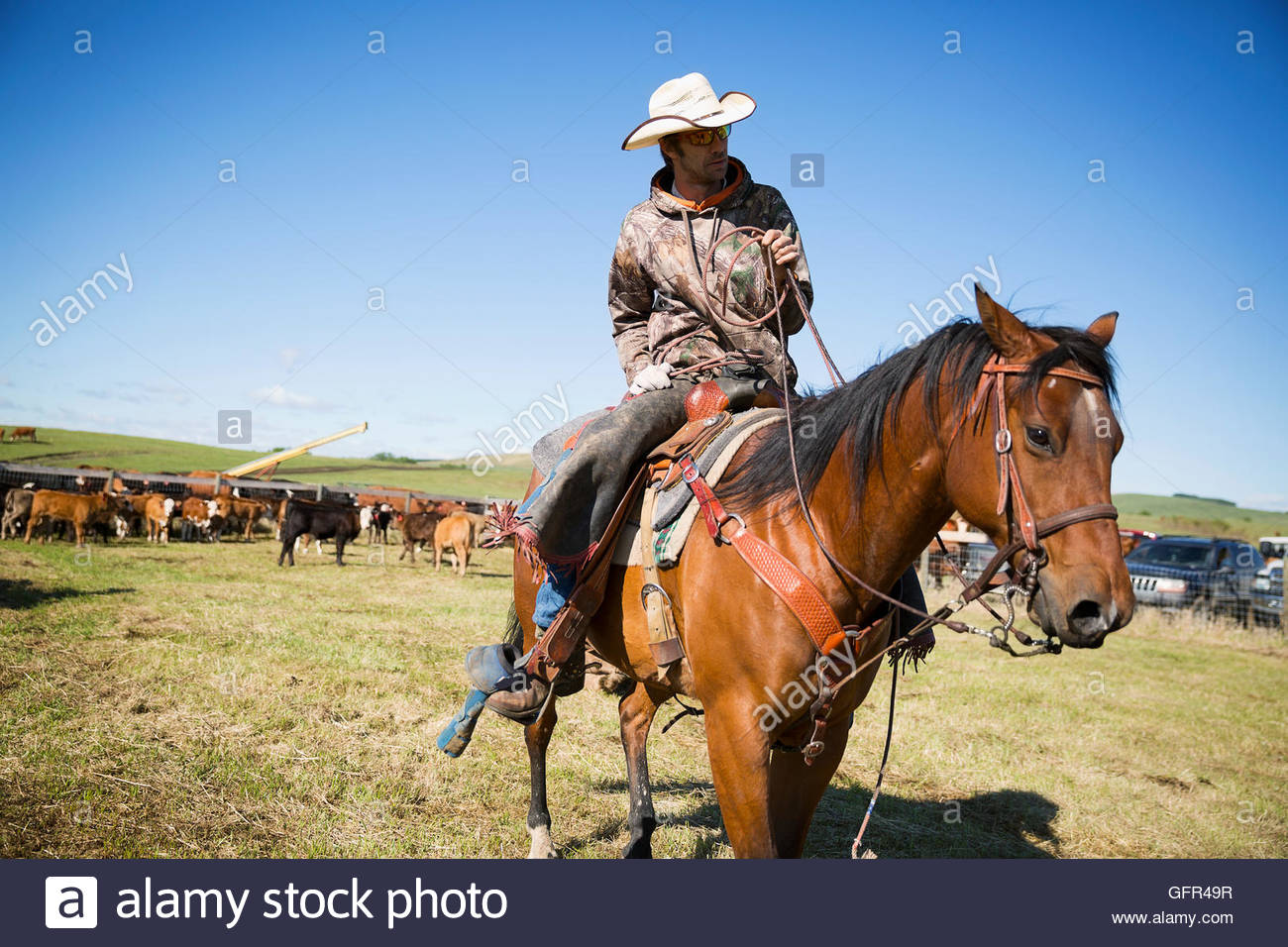 Rancher chaps hi-res stock photography and images - Alamy