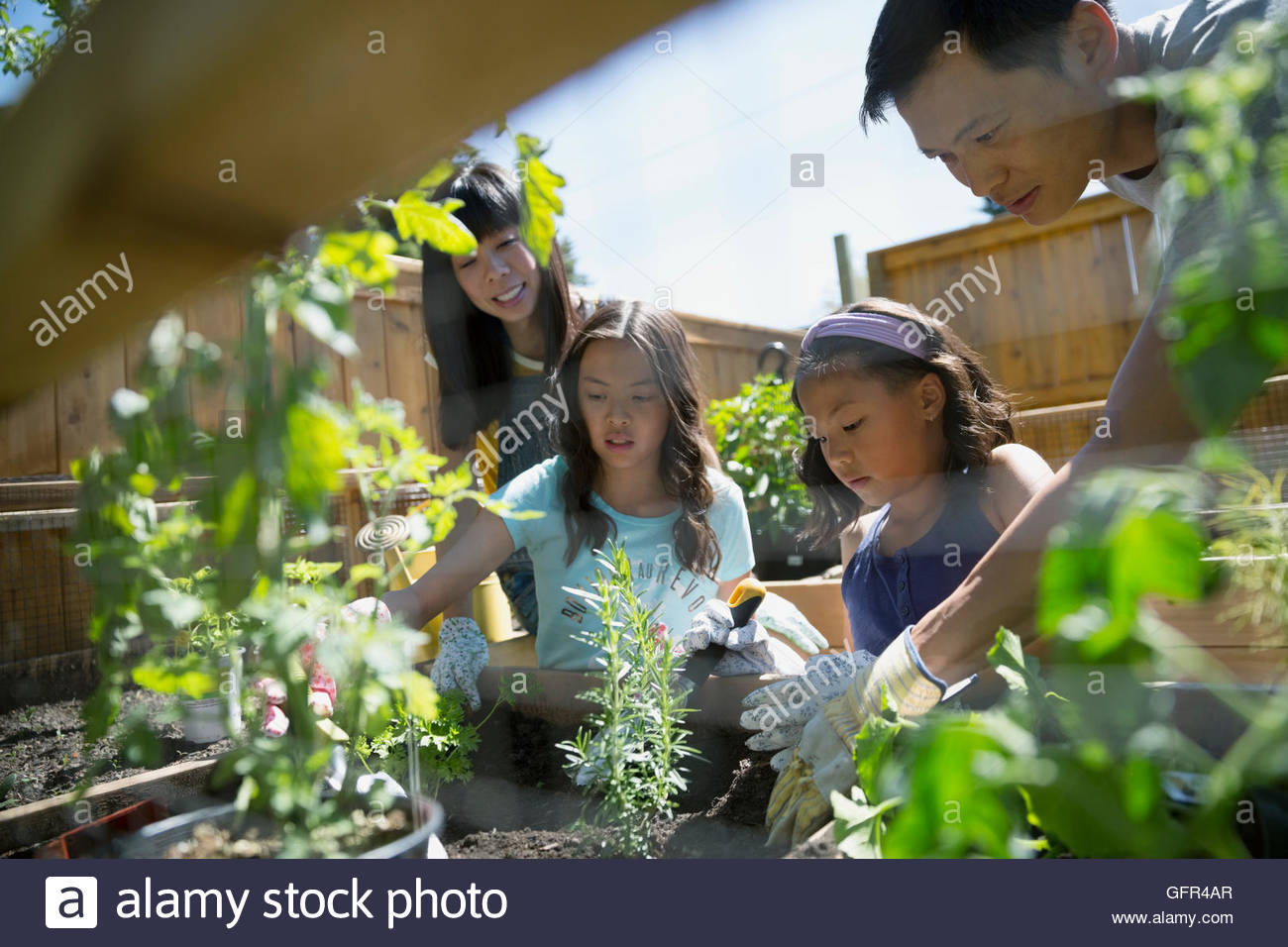 Family planting hi-res stock photography and images - Alamy