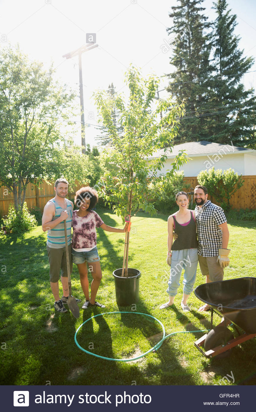 Tree friends hi-res stock photography and images - Alamy