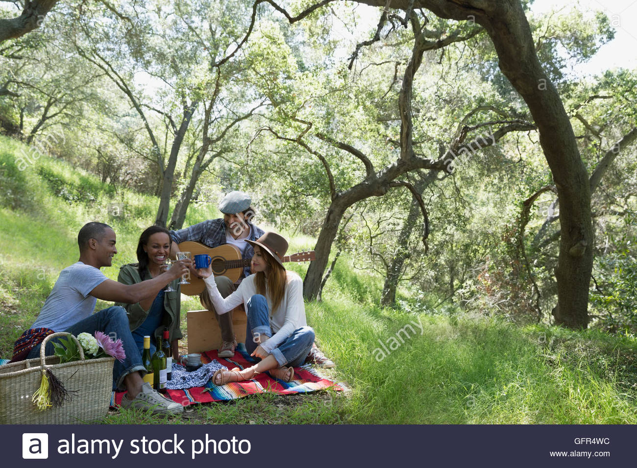 Picnic friends celebration hi-res stock photography and images - Alamy