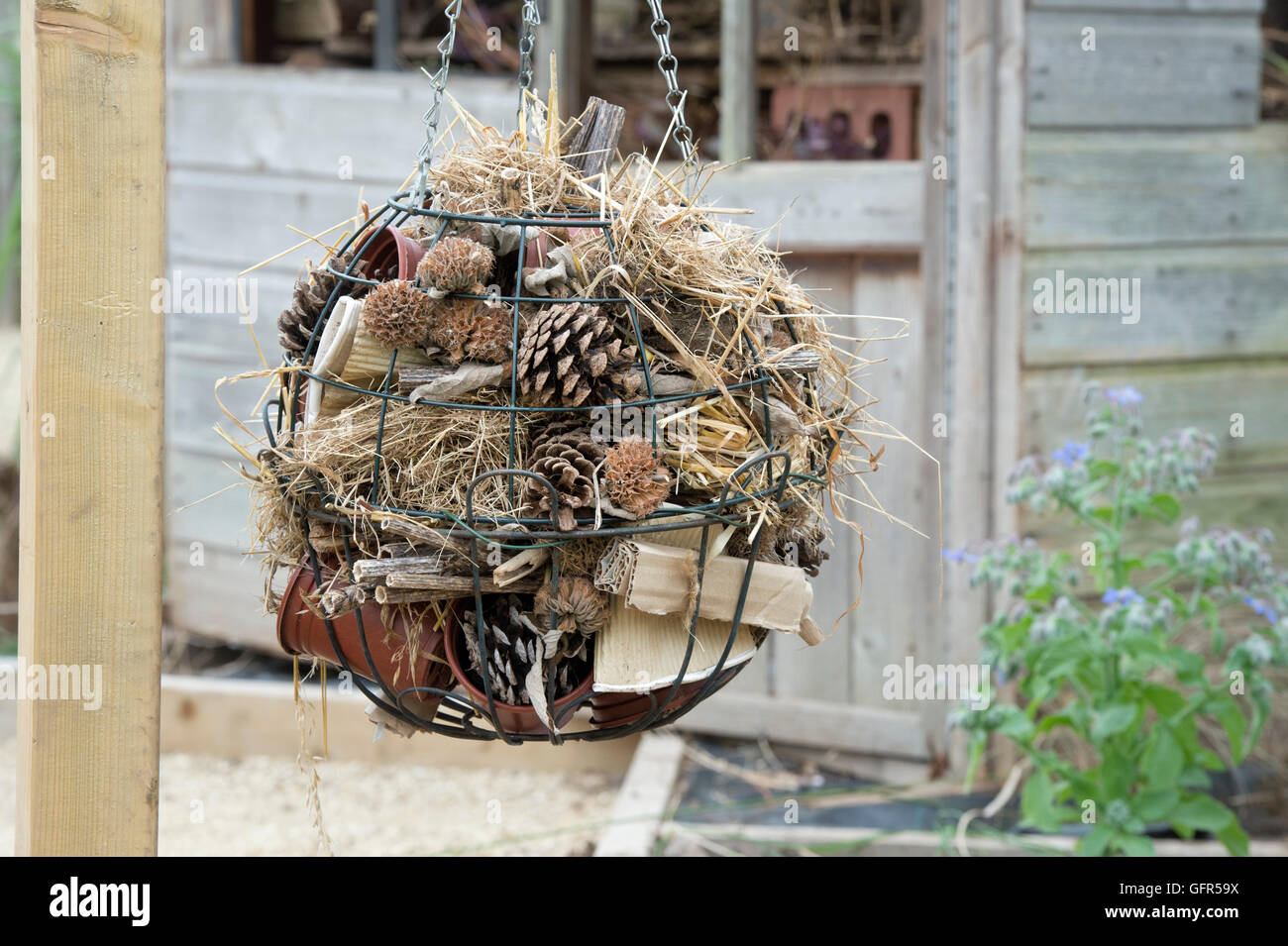 Hanging Insect home using spherical metal frame at Ryton Organic ...