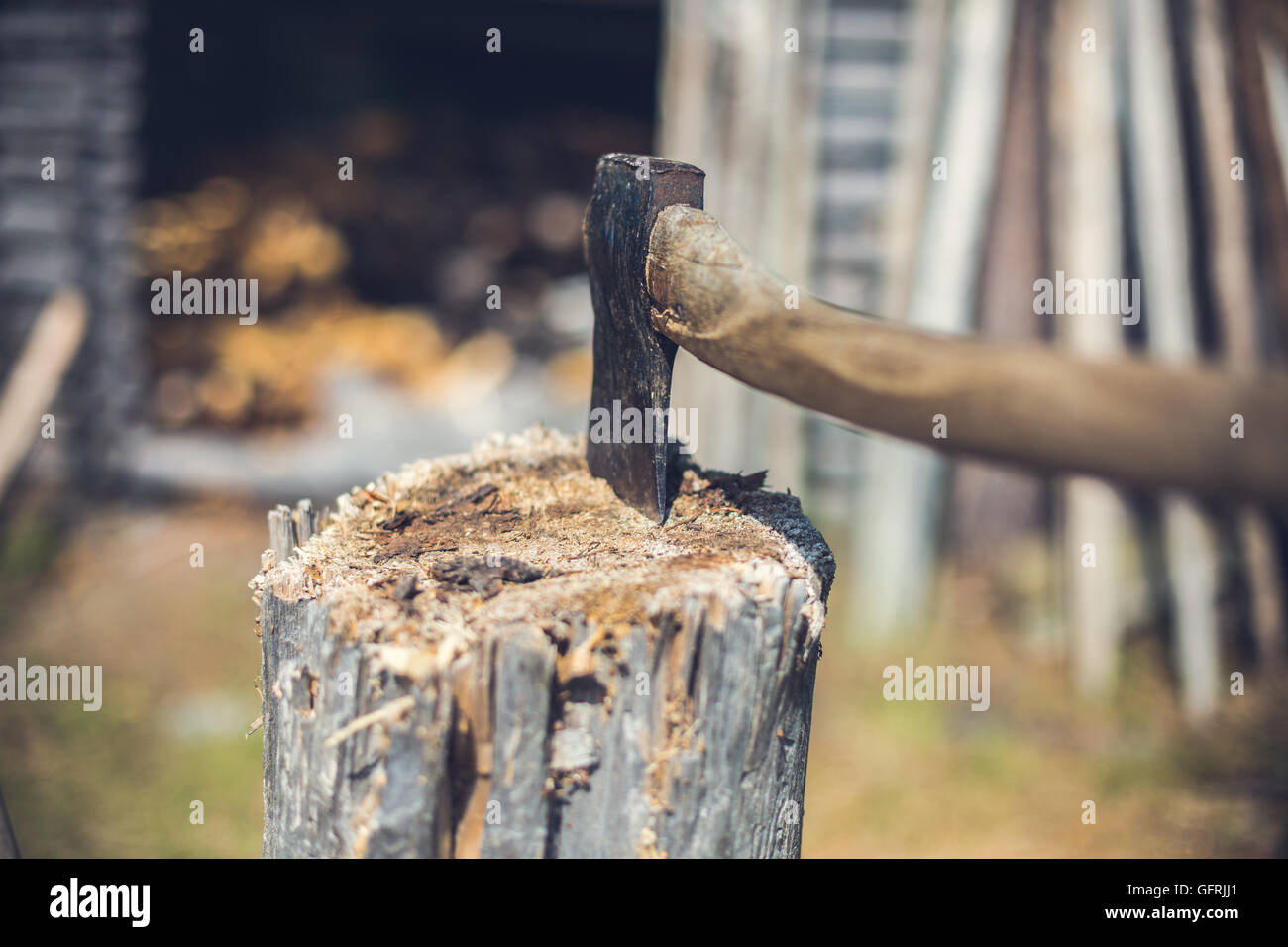 Tree cutting axe hi-res stock photography and images - Alamy