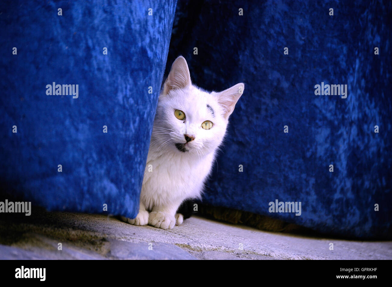 Clue curtain hi-res stock photography and images - Alamy