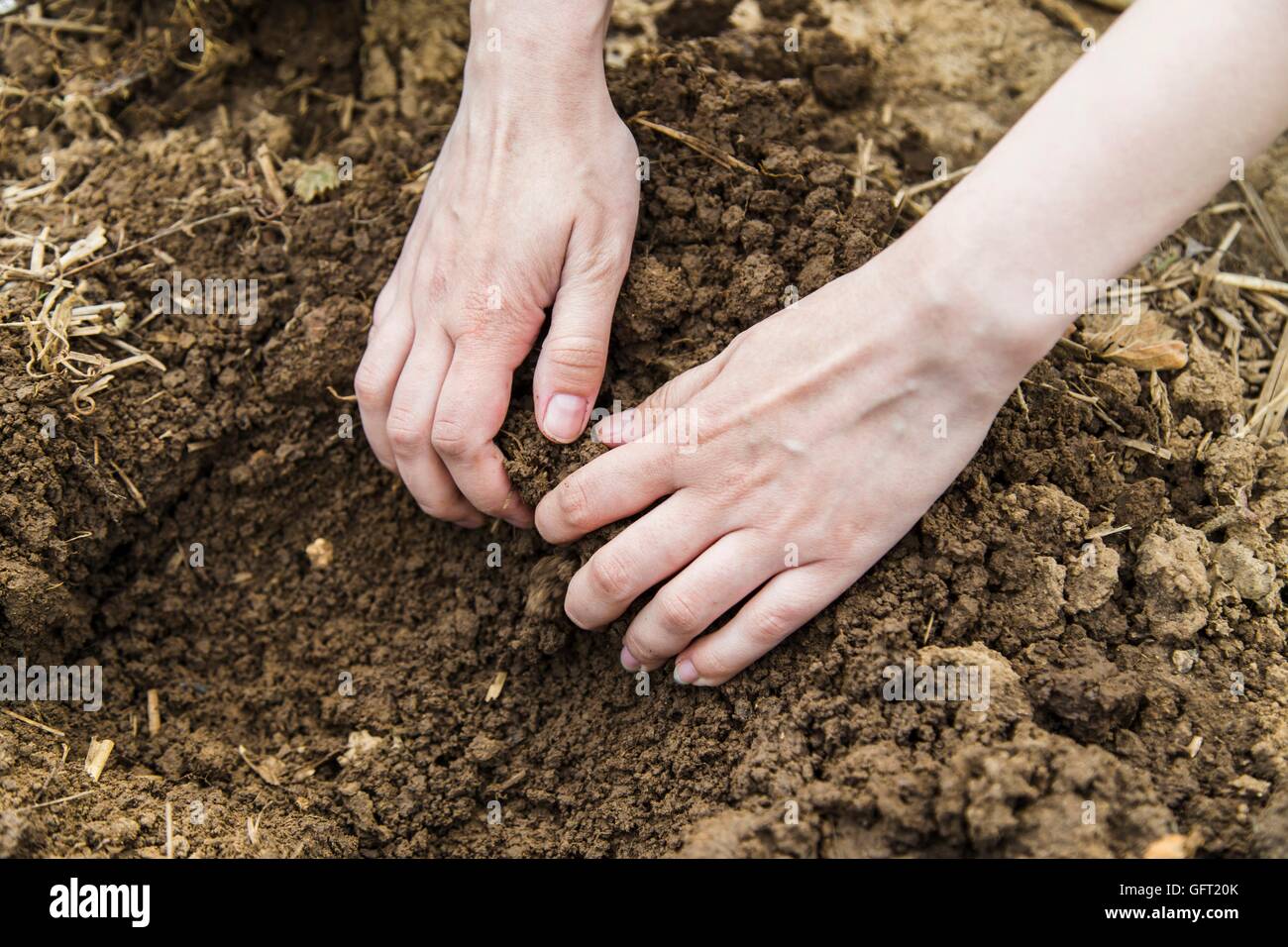 Tool garden ground soil hi-res stock photography and images - Alamy