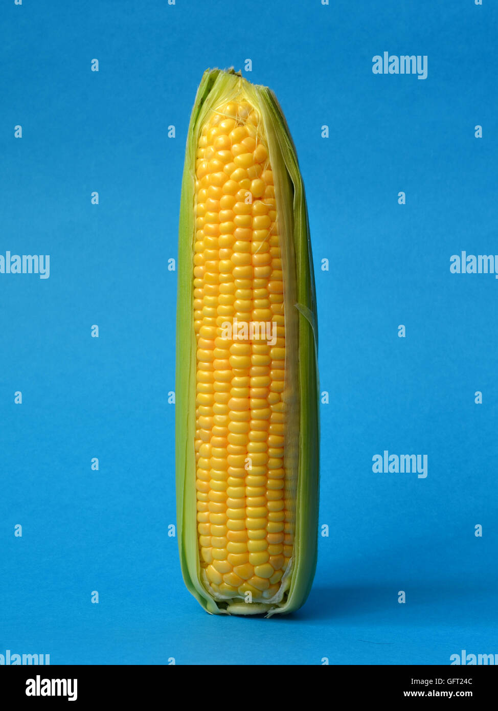Single ear of corn with leaves on a blue background Stock Photo - Alamy