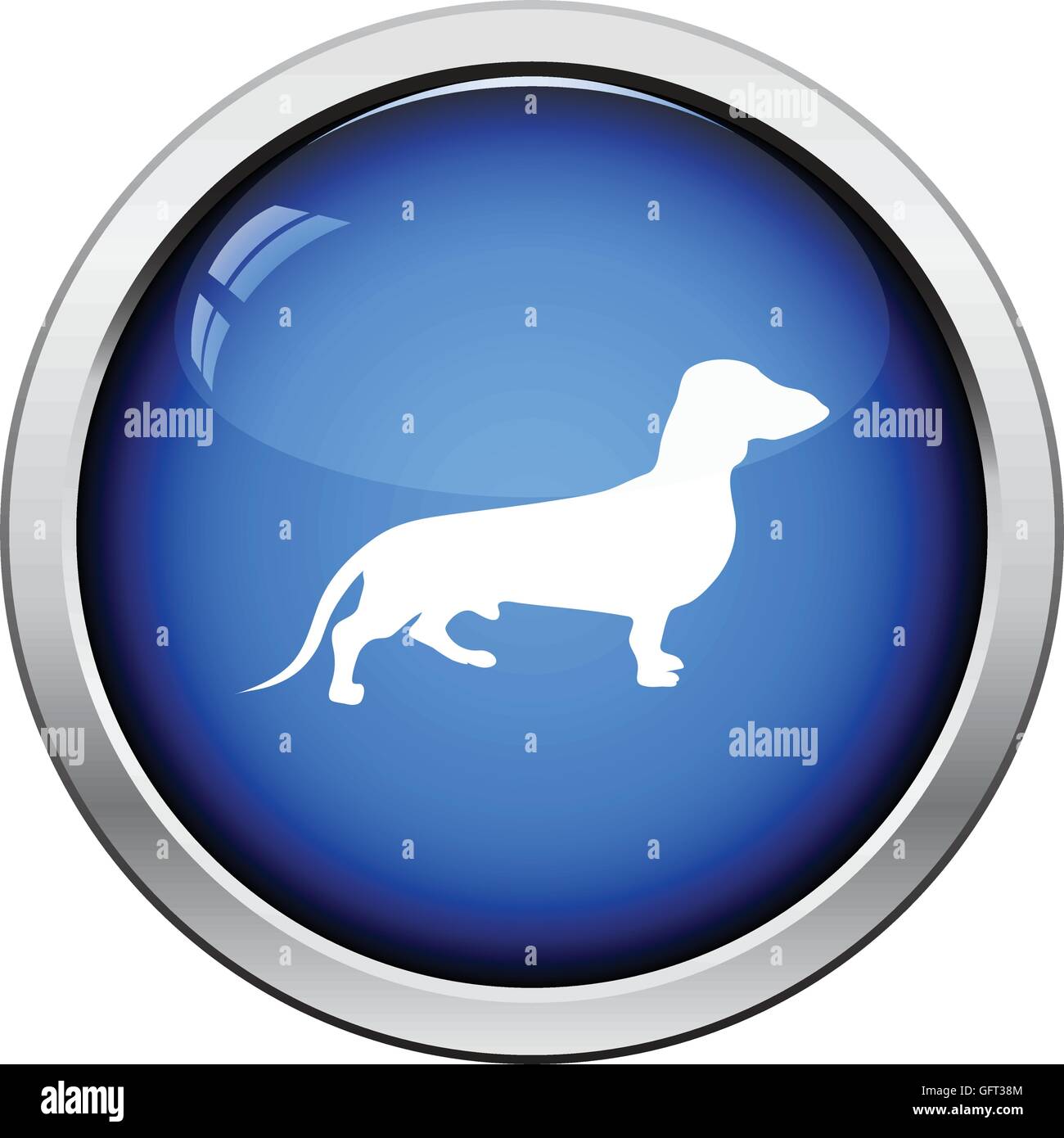 Dachshund dog icon. Glossy button design. Vector illustration Stock ...