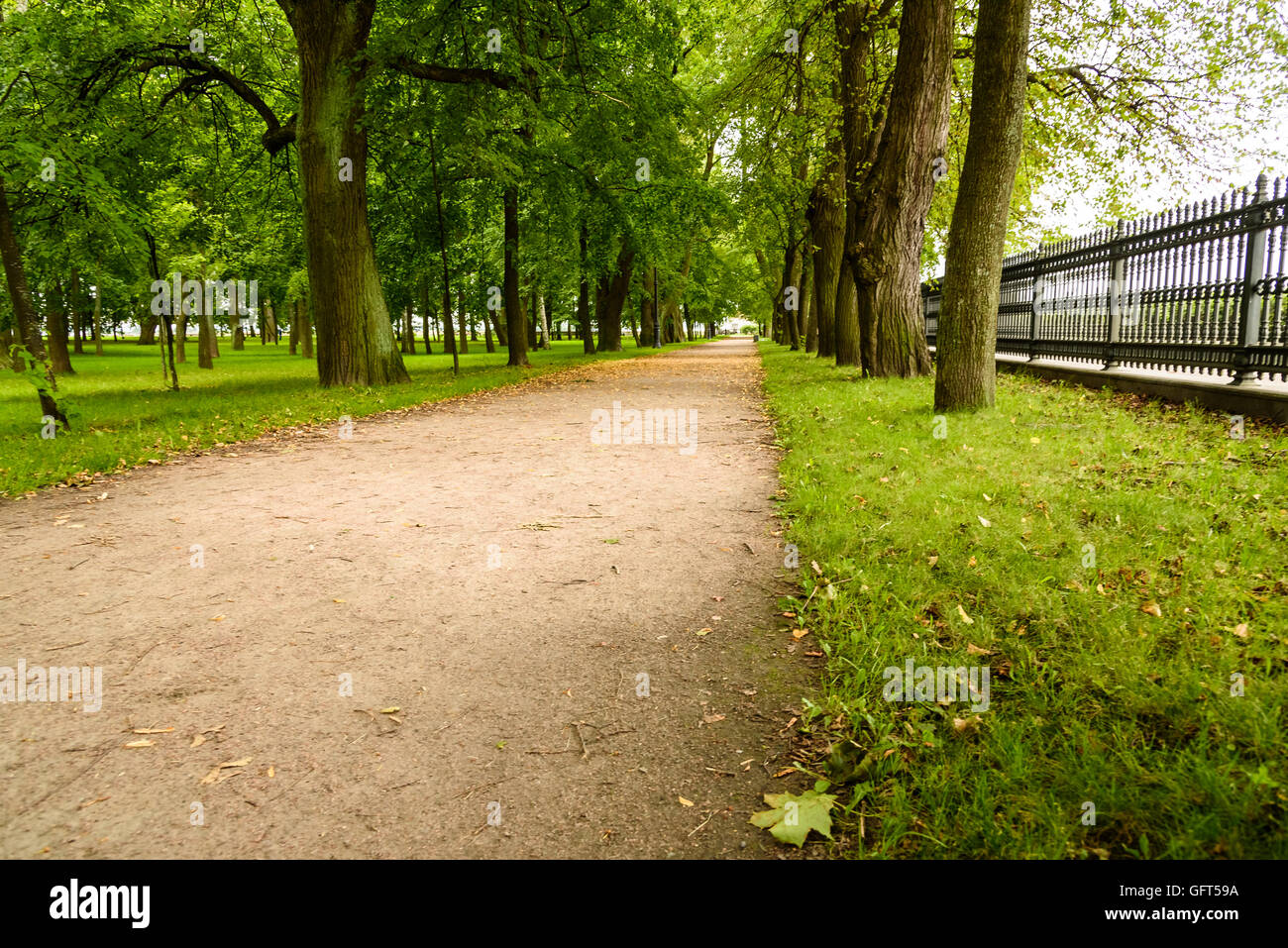 beautiful alley in the Park in cloudy summer day Stock Photo - Alamy