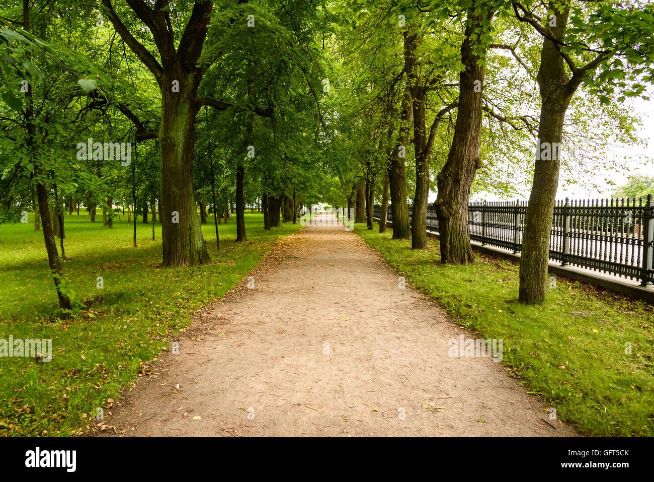 beautiful alley in the Park in cloudy summer day Stock Photo - Alamy
