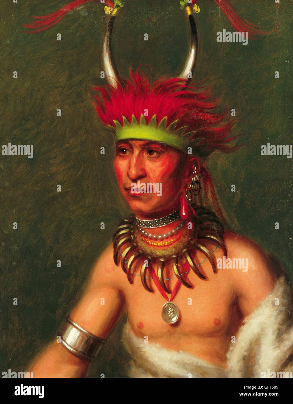 Charles bird king monchousia white plume hi-res stock photography and ...