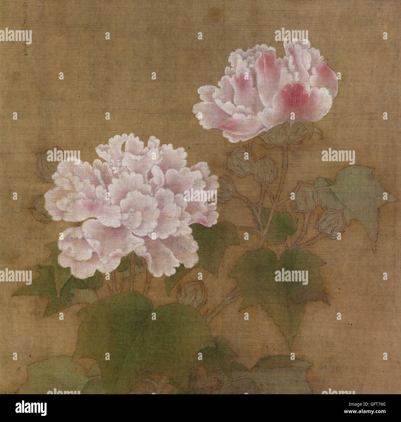 Li di hi-res stock photography and images - Alamy