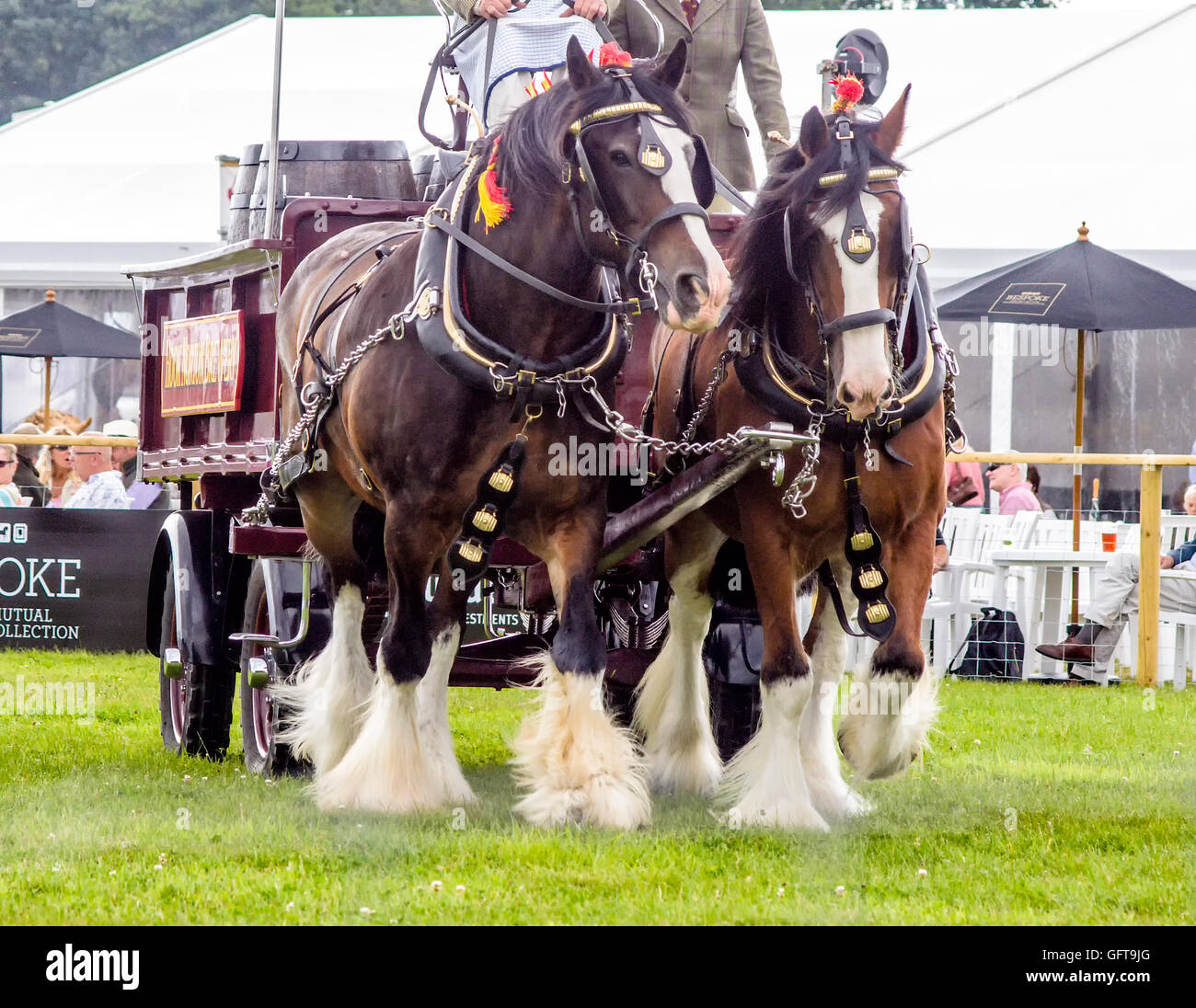 Drey hi-res stock photography and images - Alamy