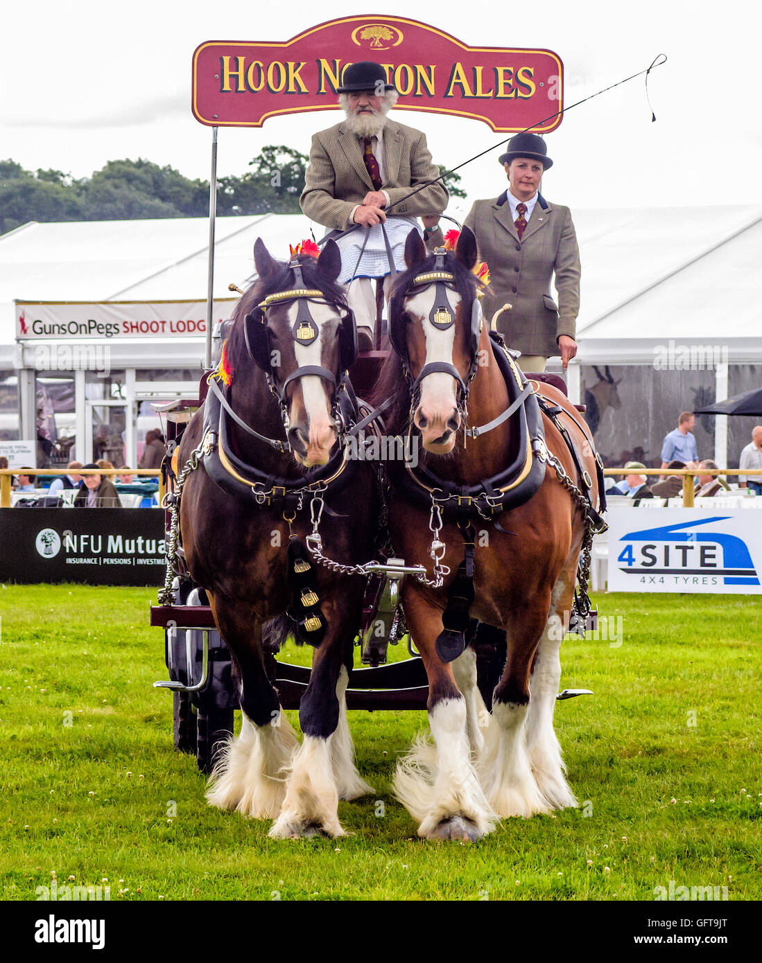 Drey High Resolution Stock Photography and Images - Alamy