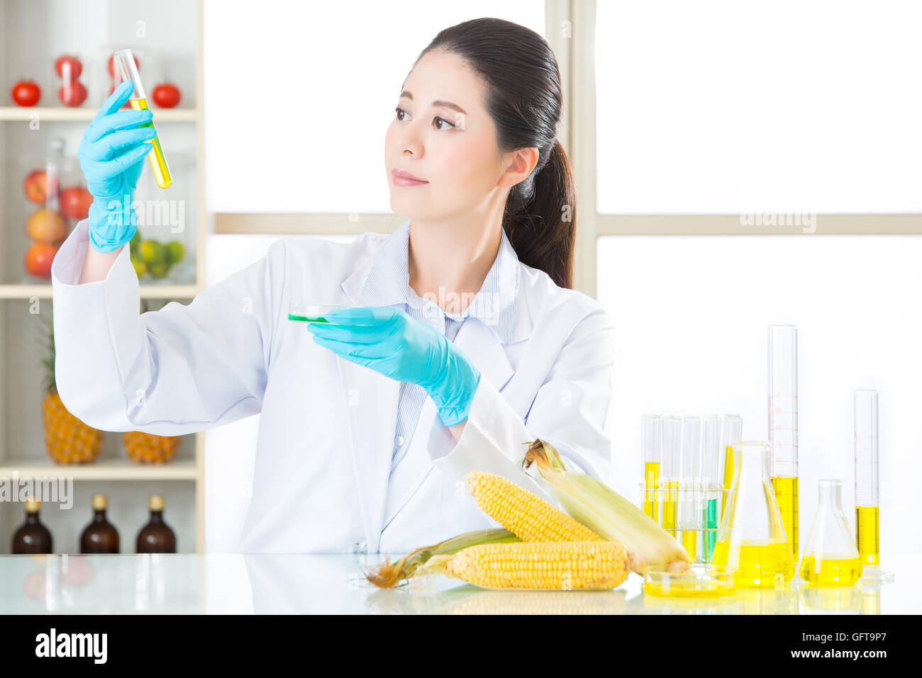 Asian female scientist testing gmo corn for human health in laboratory ...