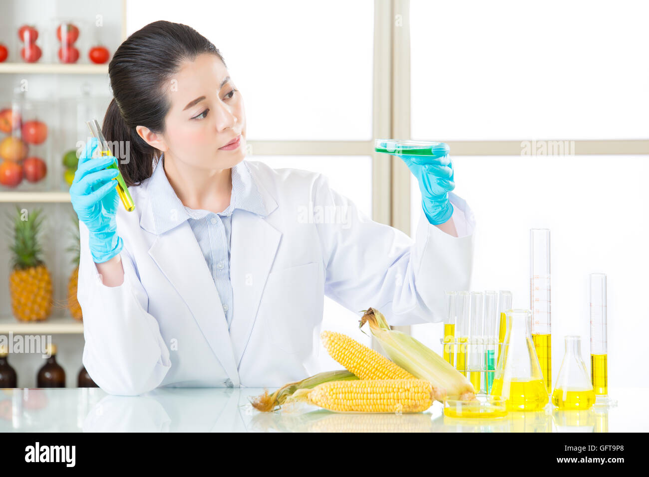 female scientist looking for gmo corn dna for safety in laboratory ...