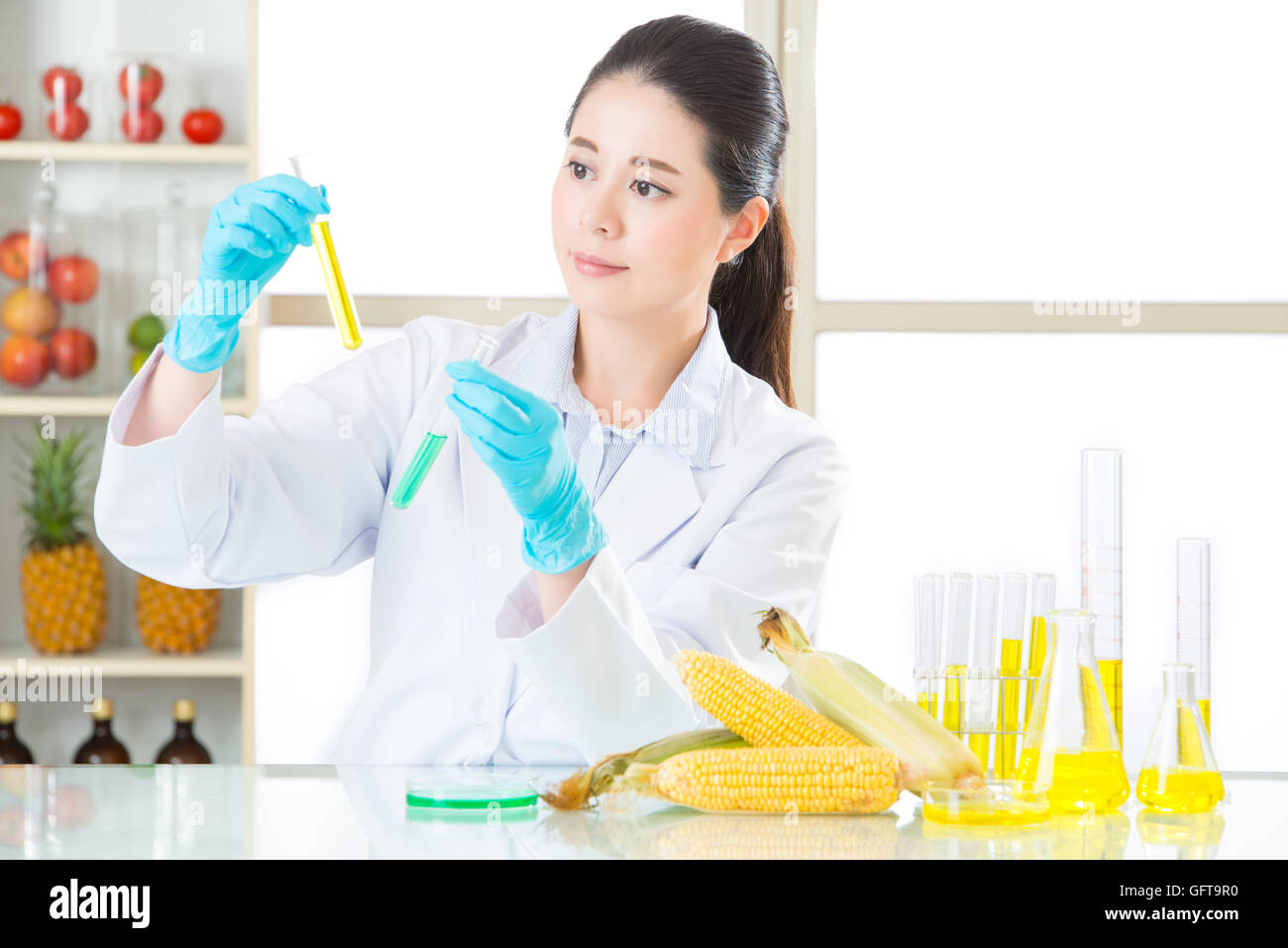 genetic modification corn sugar is not sugar cane, all about gmo food ...