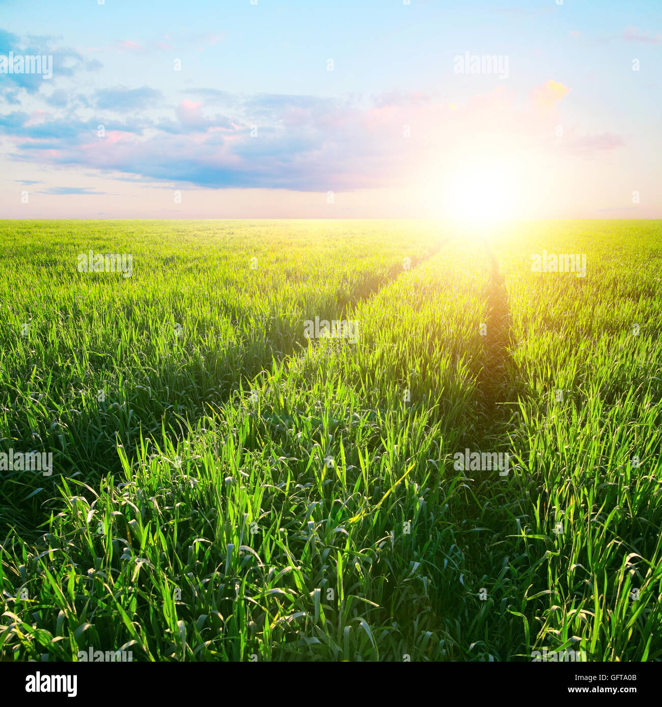 Dawn landscapes hi-res stock photography and images - Alamy