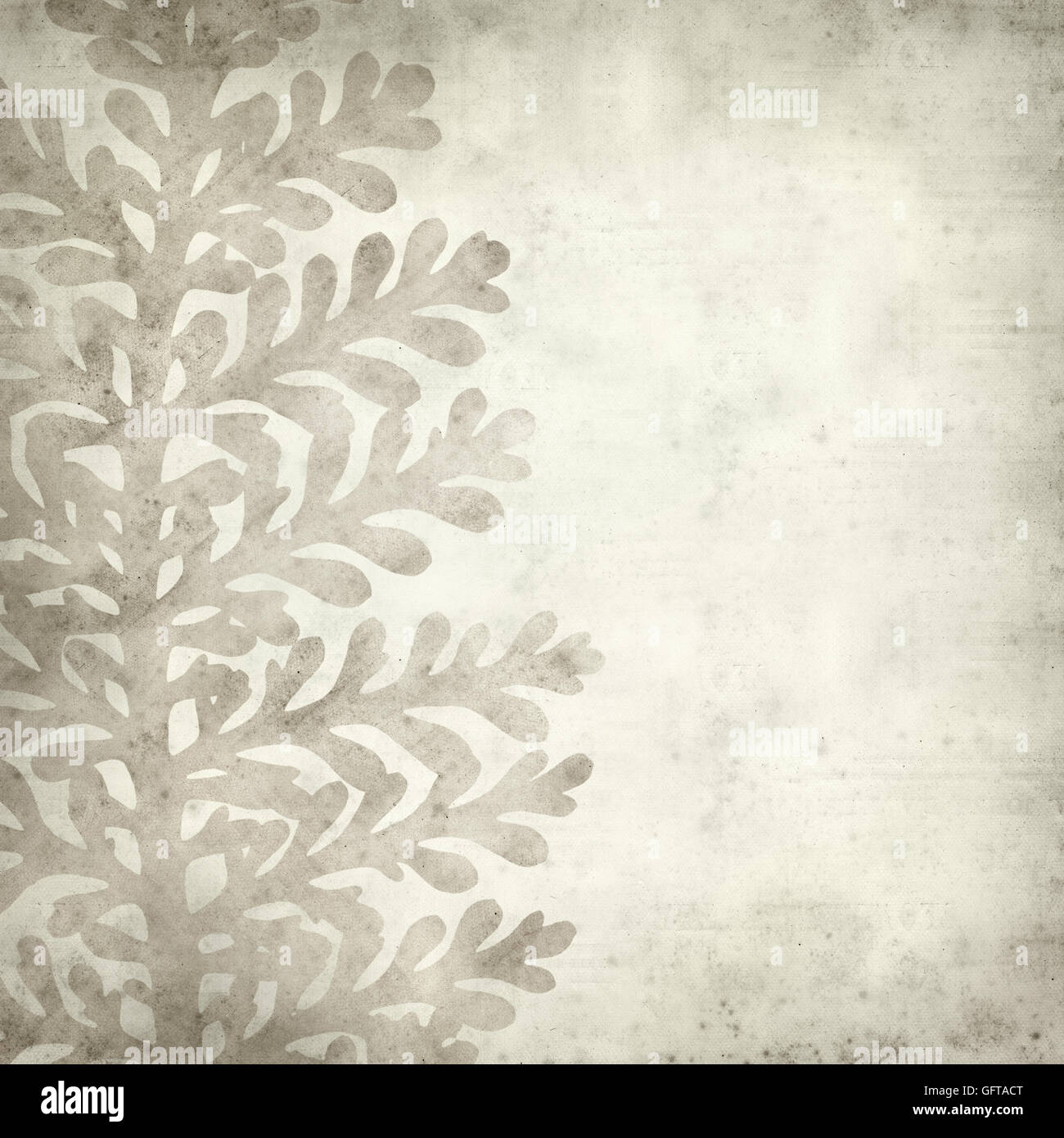 textured old paper background with leaves of silver lace plant Stock ...