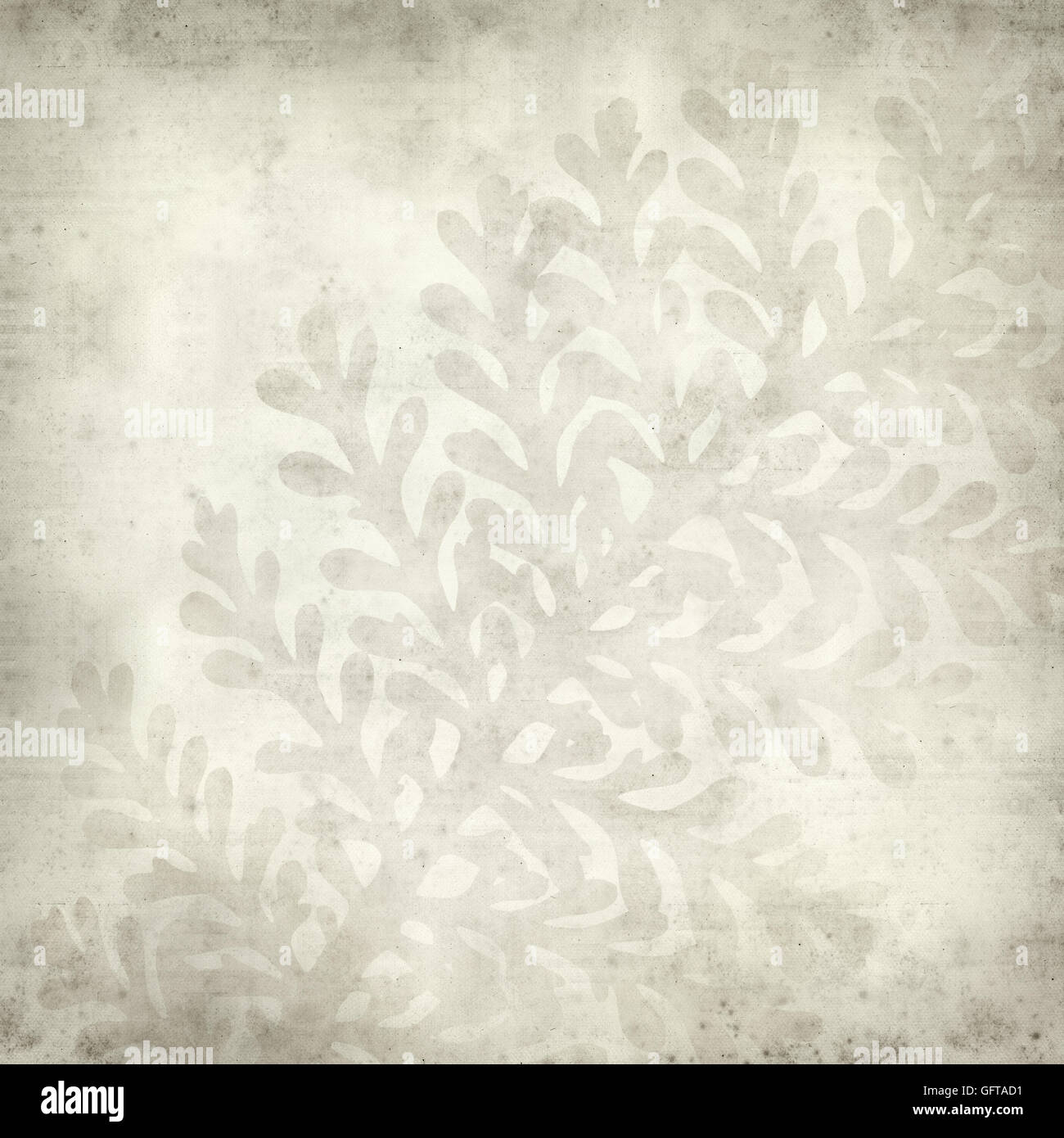 textured old paper background with leaves of silver lace plant Stock ...