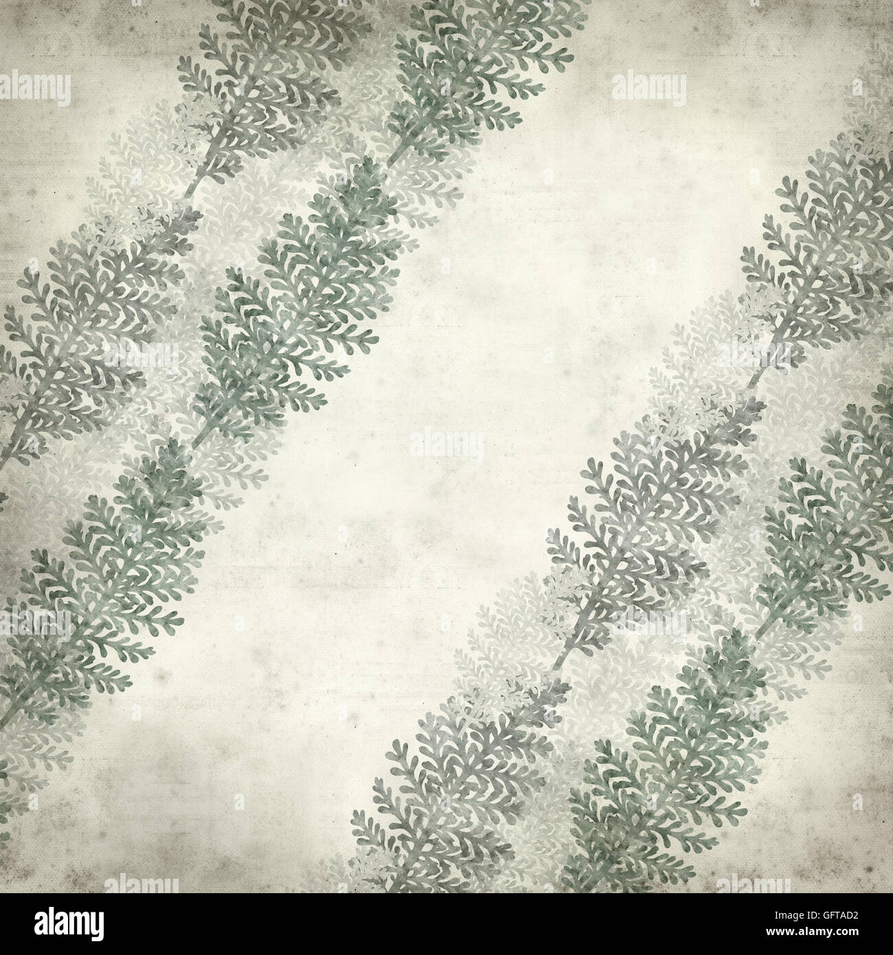 textured old paper background with leaves of silver lace plant Stock ...