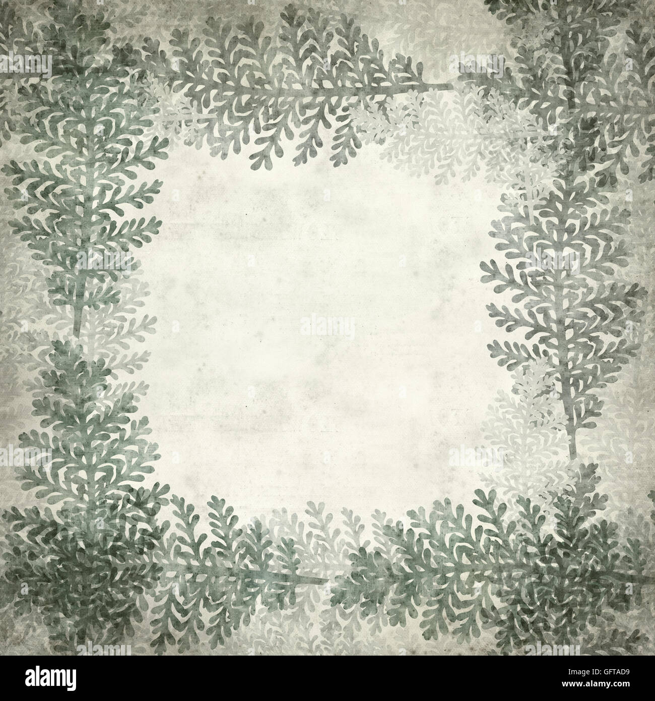 textured old paper background with leaves of silver lace plant Stock ...