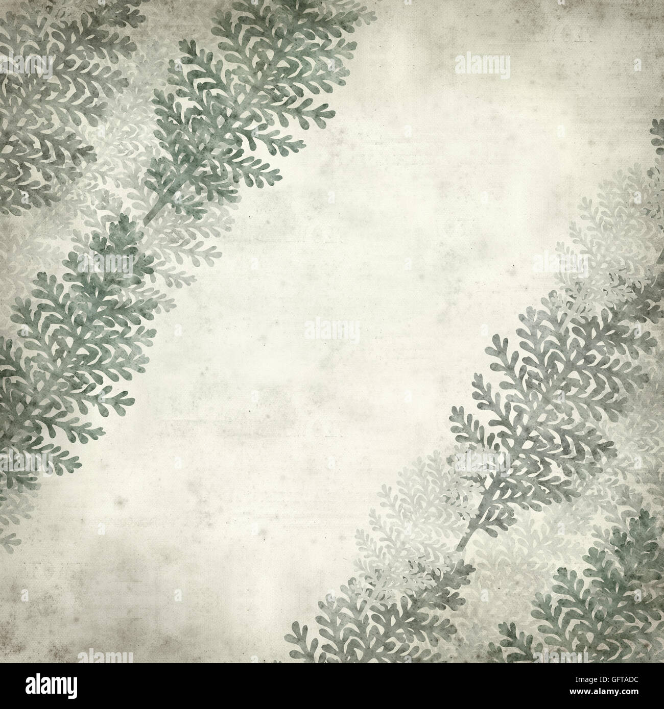 textured old paper background with leaves of silver lace plant Stock ...