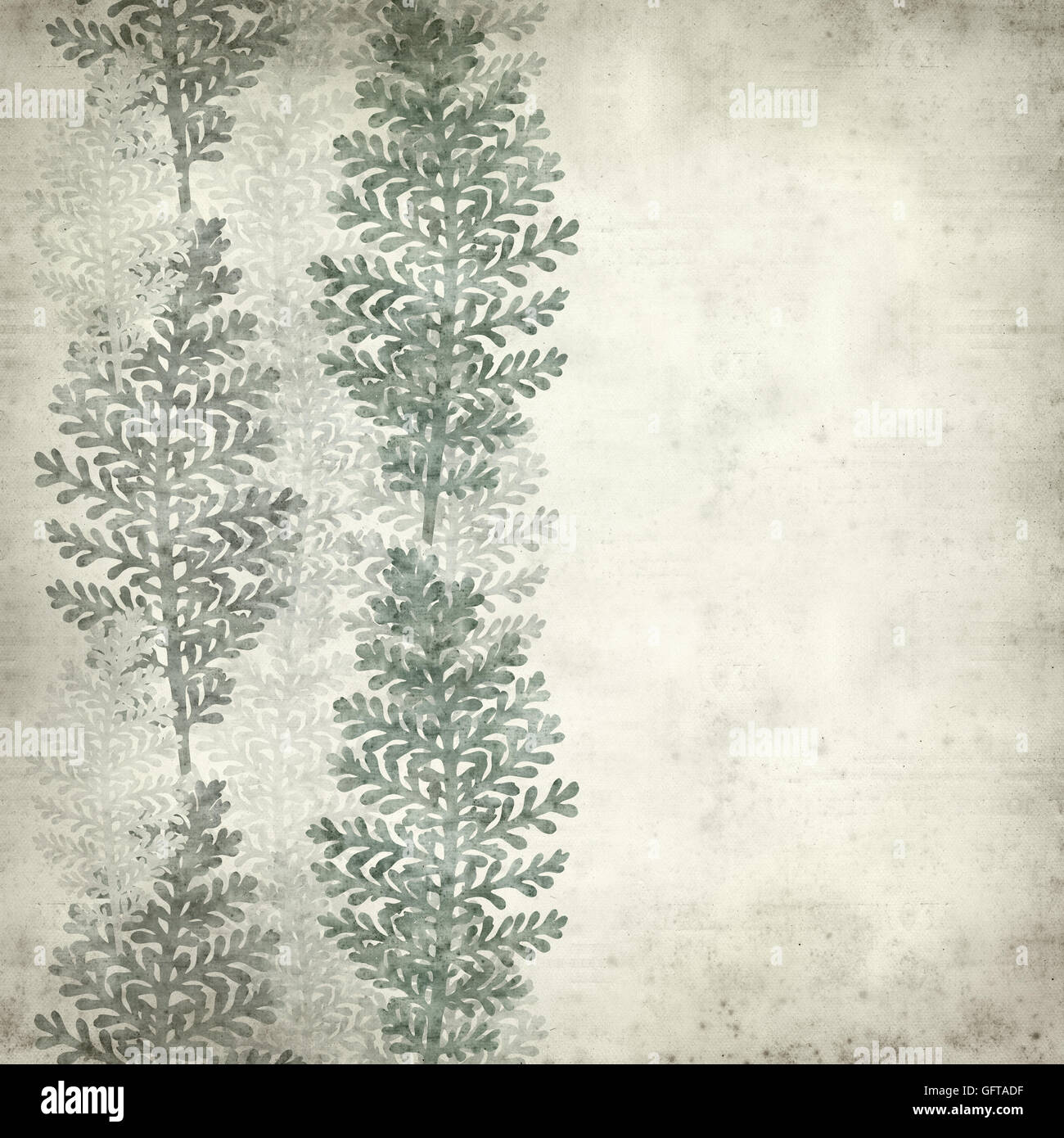 textured old paper background with leaves of silver lace plant Stock ...