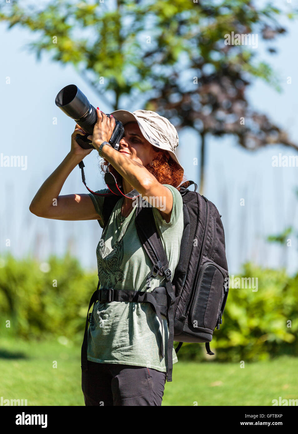 Professional nature photographer lady with her camera in the field ...