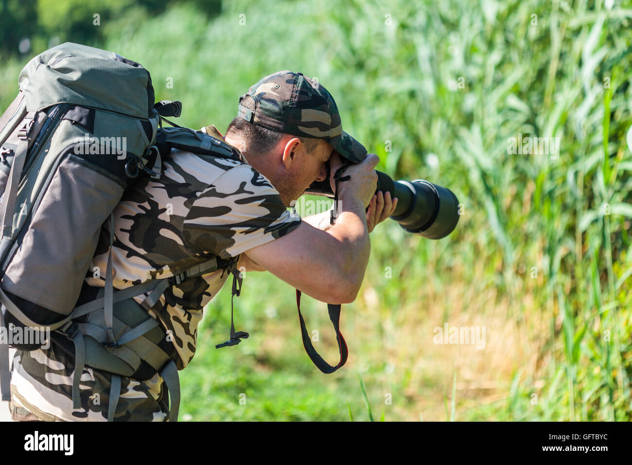Professional nature and wildlife photographer at work Stock Photo - Alamy