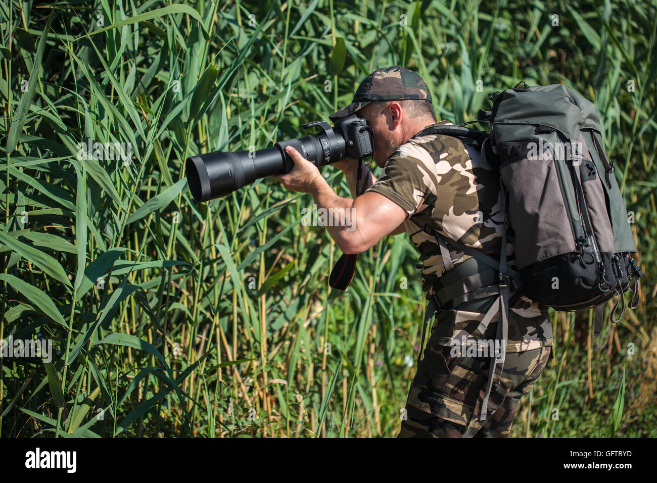Professional nature and wildlife photographer at work Stock Photo - Alamy
