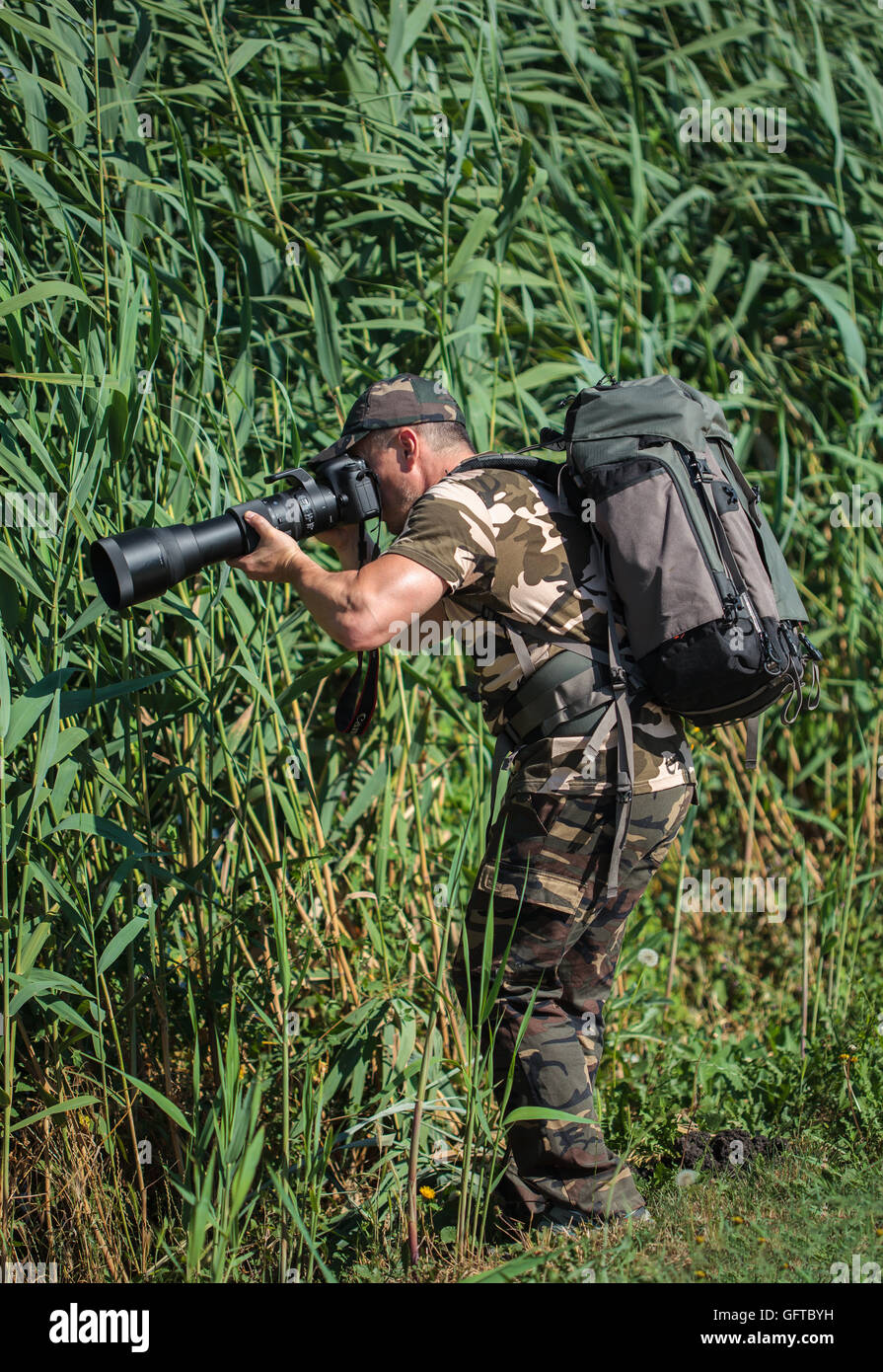 Professional nature and wildlife photographer at work Stock Photo - Alamy