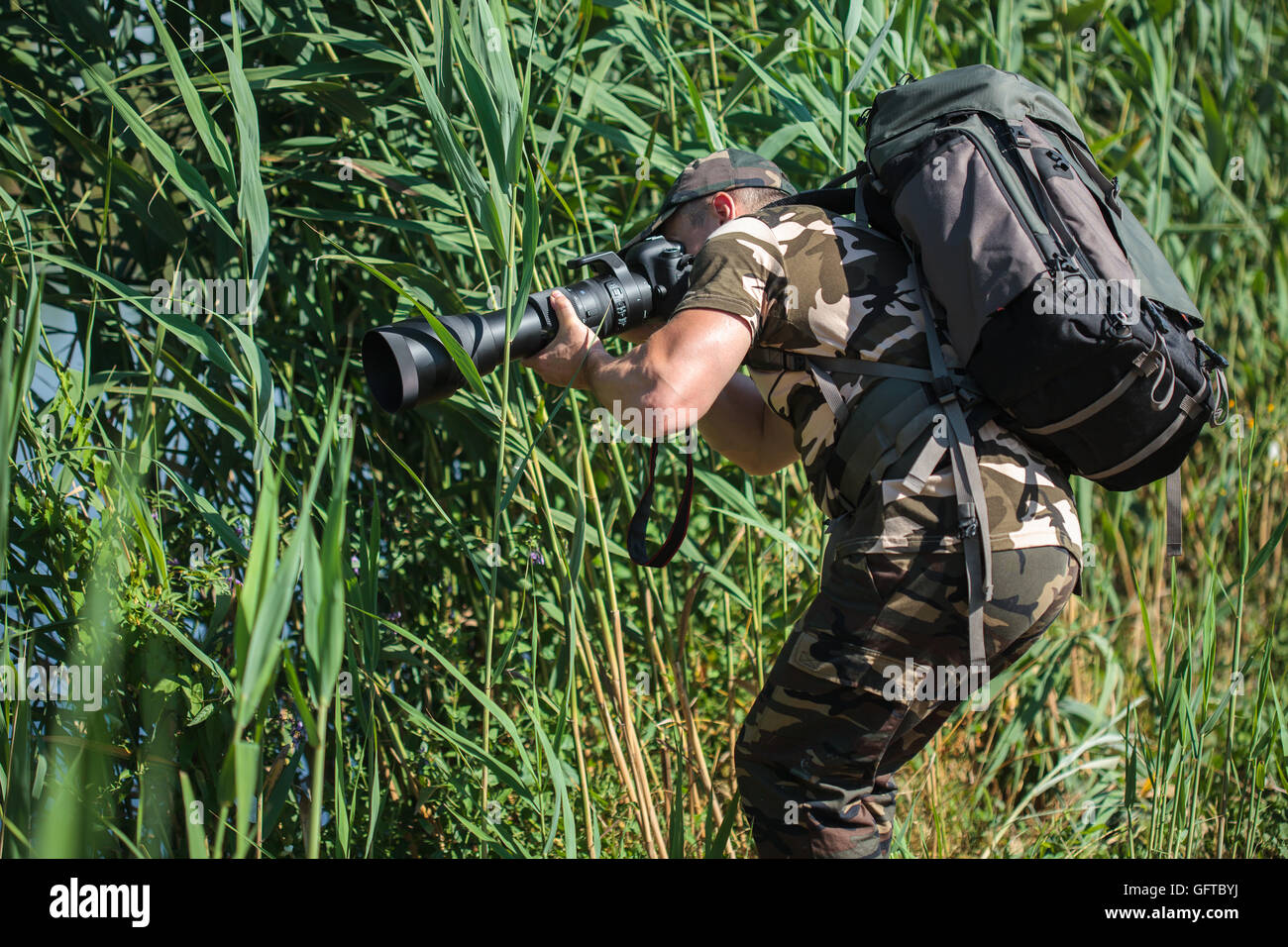 Professional nature and wildlife photographer at work Stock Photo - Alamy