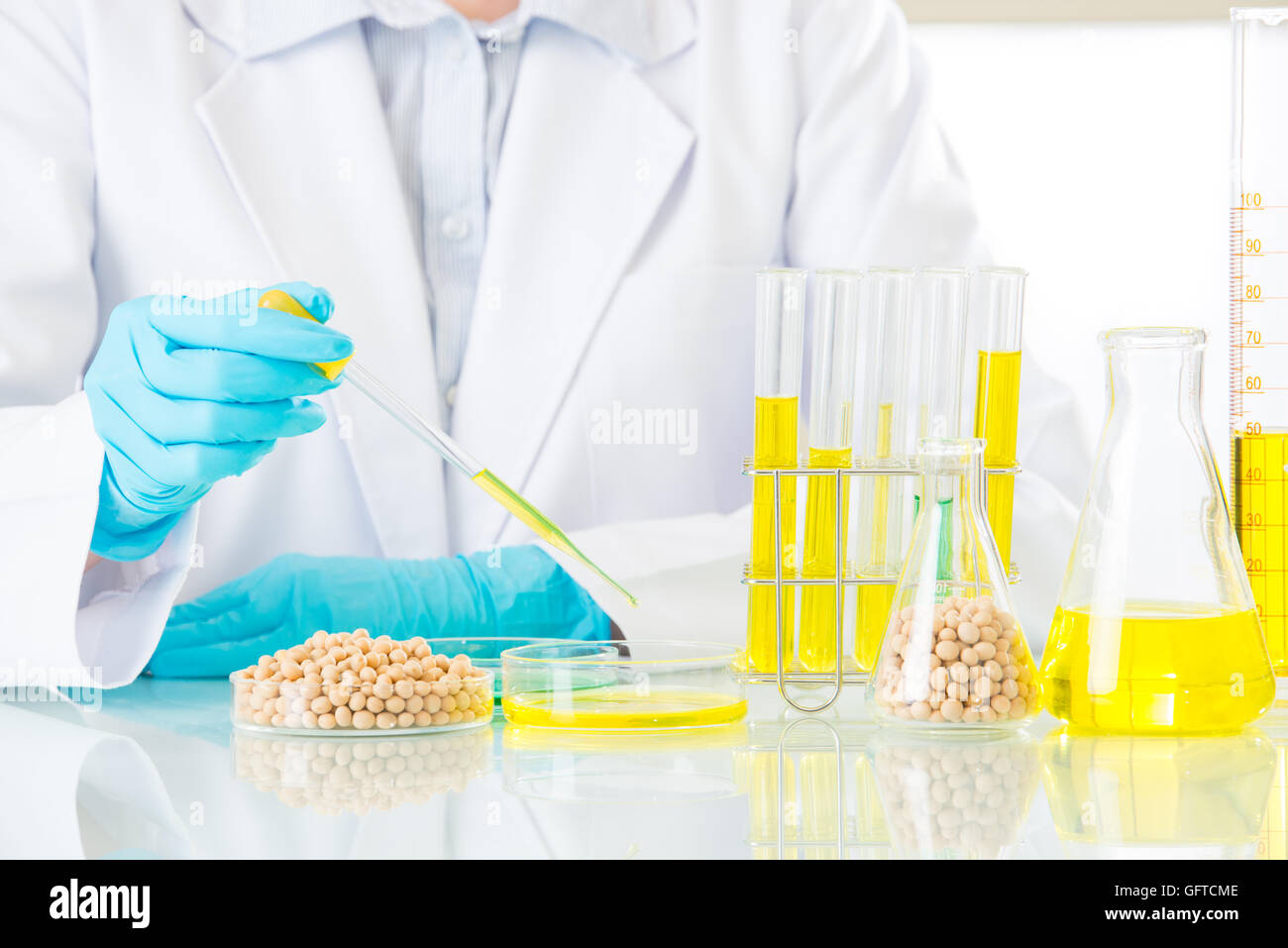 Asian female scientist doing soya genetic modification research in ...