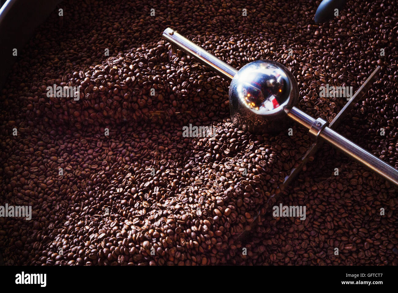 Coffee beans roasting in a drum being stirred with a metal paddle Stock ...